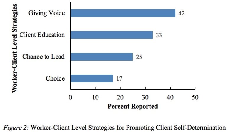 Strategies for Promoting Client Self-Determination: A Review of the ...